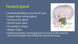 Radiographic procedure sailograp.....hy.pptx