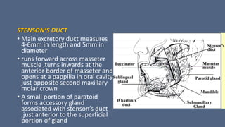 Radiographic procedure sailograp.....hy.pptx