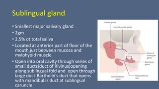 Radiographic procedure sailograp.....hy.pptx