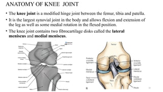 RADIOGRAPHIC TECHNIQUE OF LEG, KNEE JOINT AND FEMUR.pptx
