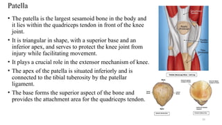 RADIOGRAPHIC TECHNIQUE OF LEG, KNEE JOINT AND FEMUR.pptx