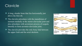 RADIOGRAPHIC TECHNIQUE OF SHOULDER(1).pptx