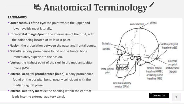 Radiographic technique of skull | PPTX