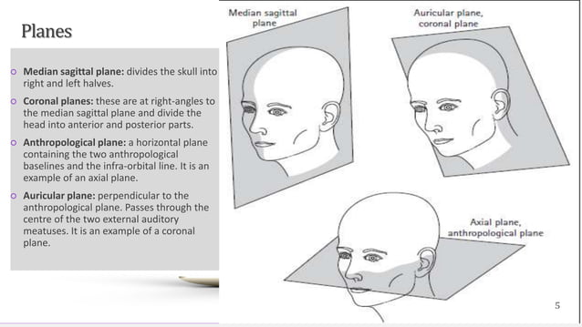 Radiographic technique of skull | PPTX