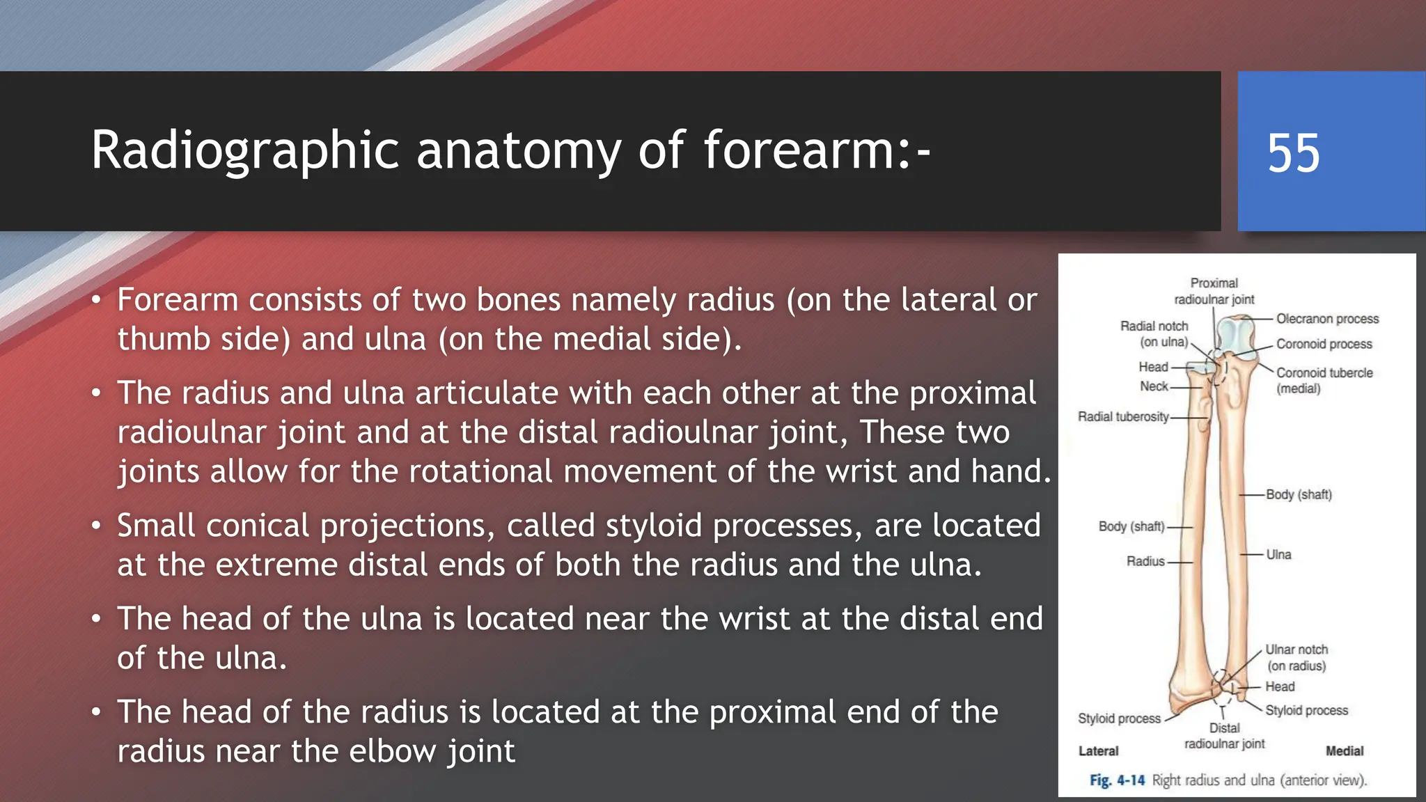 RADIOGRAPHIC TECHNIQUE OF UPPER LIMB BY SAGAR CHAULAGAIN | PPTX