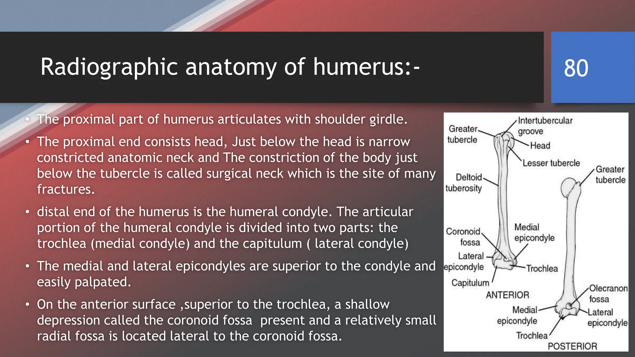 RADIOGRAPHIC TECHNIQUE OF UPPER LIMB BY SAGAR CHAULAGAIN | PPTX