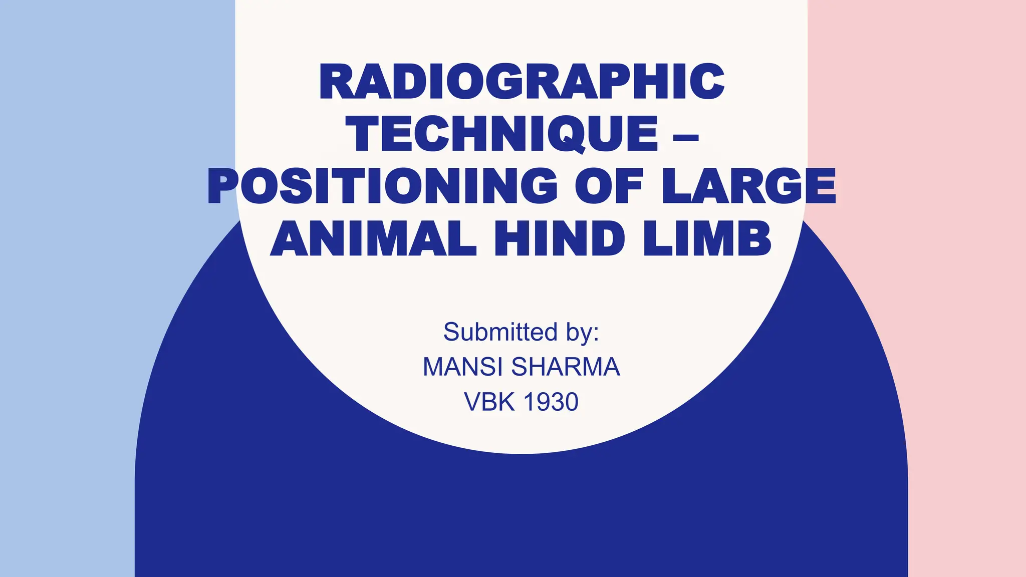 Radiographic Technique – positioning of large animal hind 2.pptx
