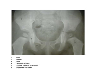Radiographic views.ppt