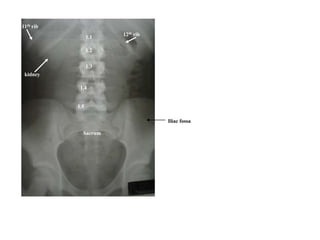 Radiographic views.ppt