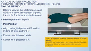 Radiographic views of proximal femur and pelvis | PPTX