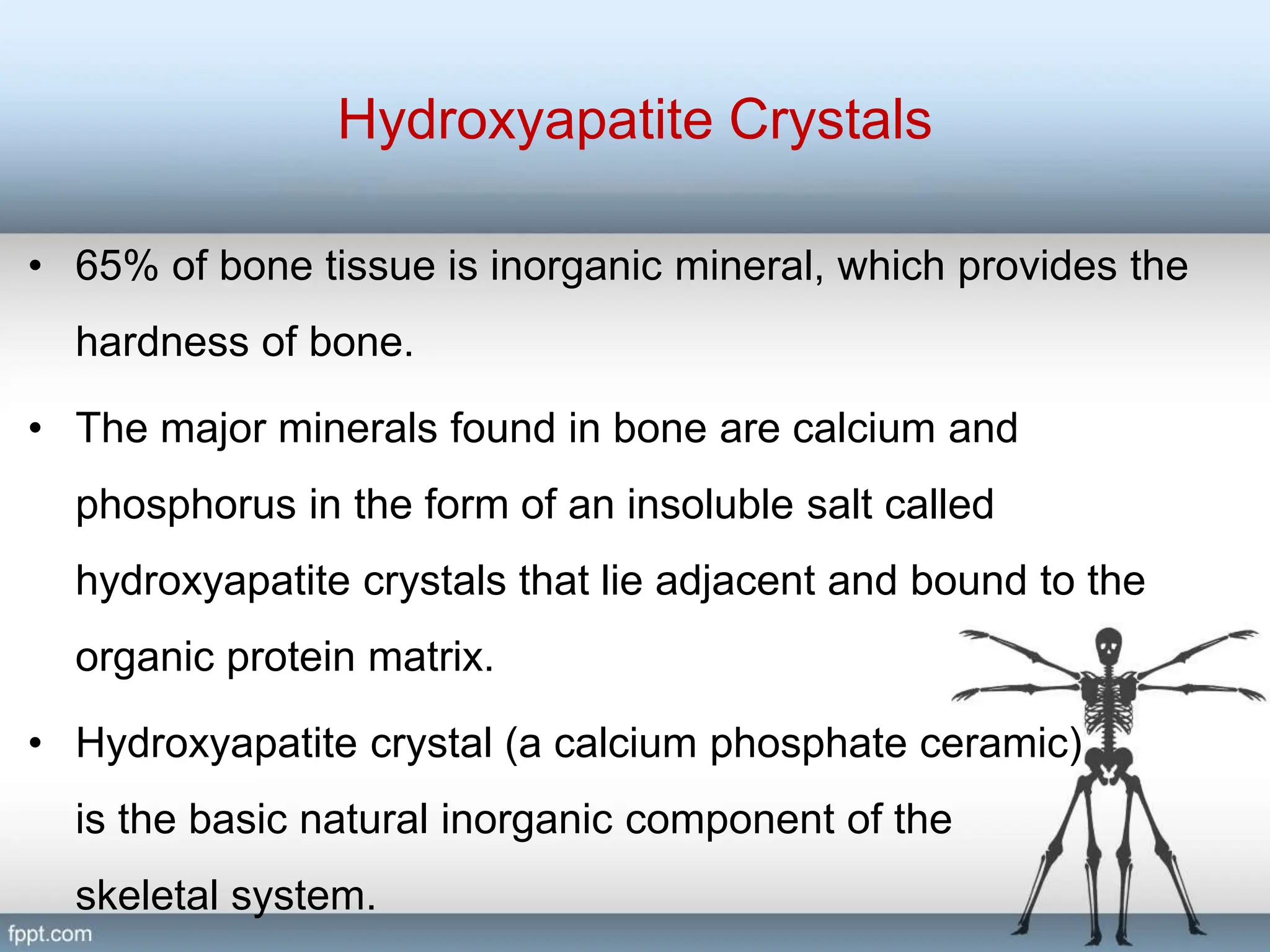 Radiograph of Skeletal System.pptmmmmmmmm | PPT