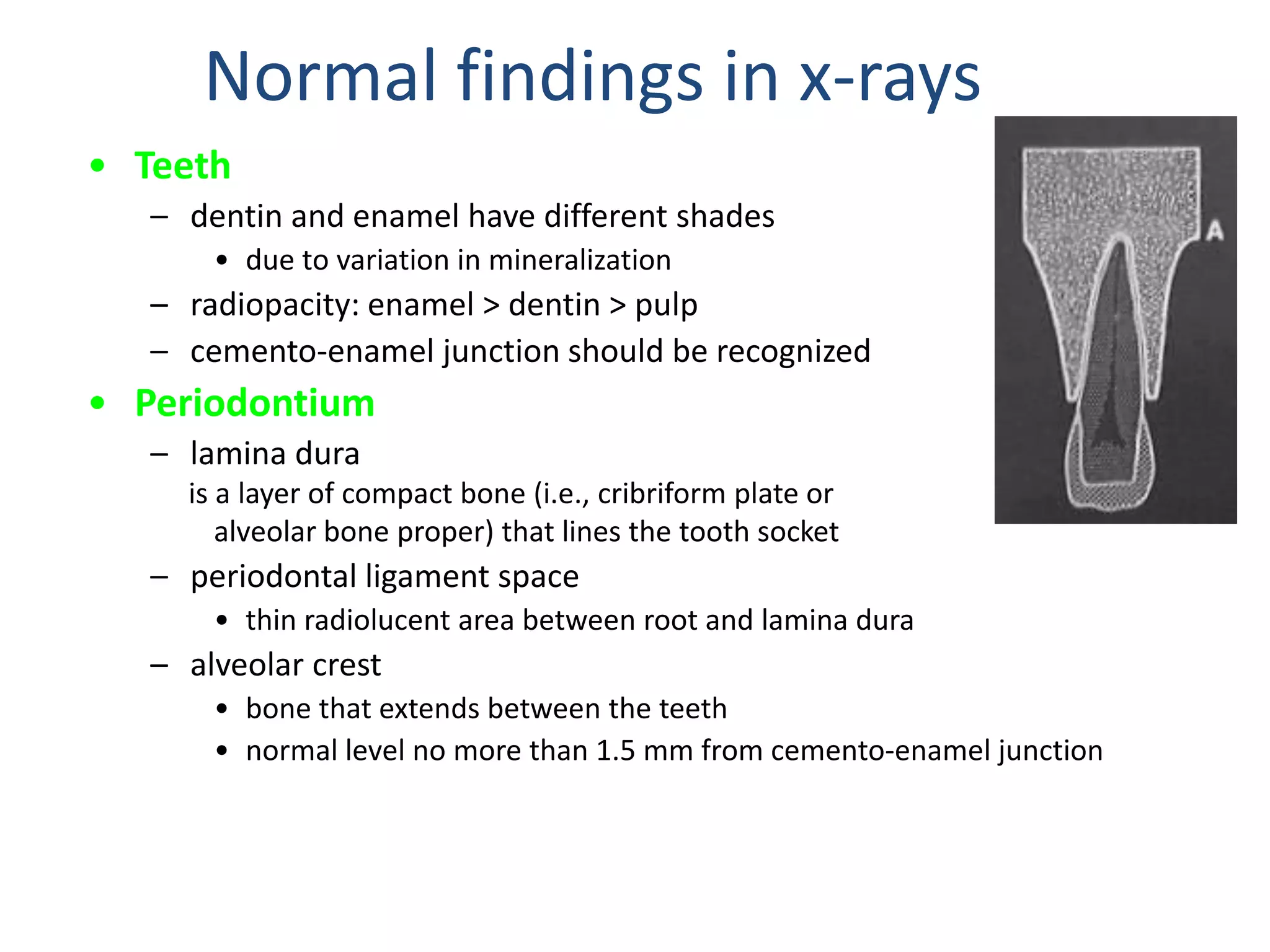 Radiographs in endodontics | PDF