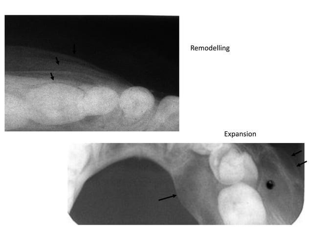 Radiographs in endodontics | PDF | Dental Health | Diseases and Conditions