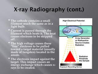 Technical seminar on Introduction to RADIOGRAPHY.pptx | Physics | Science