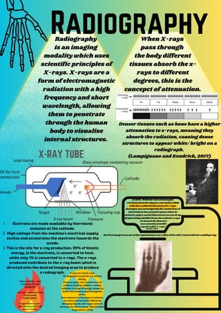 Radiography Factsheet.pdf