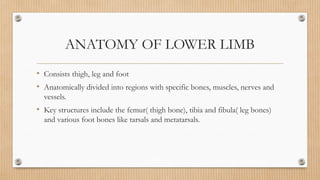 Presentation on the topic of RADIOGRAPHY OF LOWER LIMB | PPTX