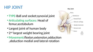 RADIOGRAPHY OF PELVIS AND HIPJOINTS.pptx