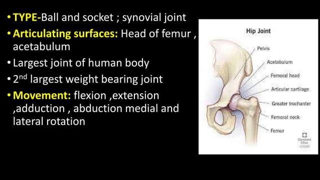 Radiography of Pelvis & Hip Joints - Saroj.pptx