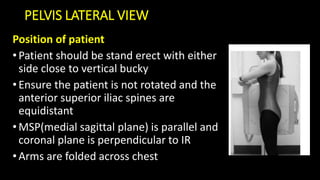Radiography of Pelvis & Hip Joints - Saroj.pptx