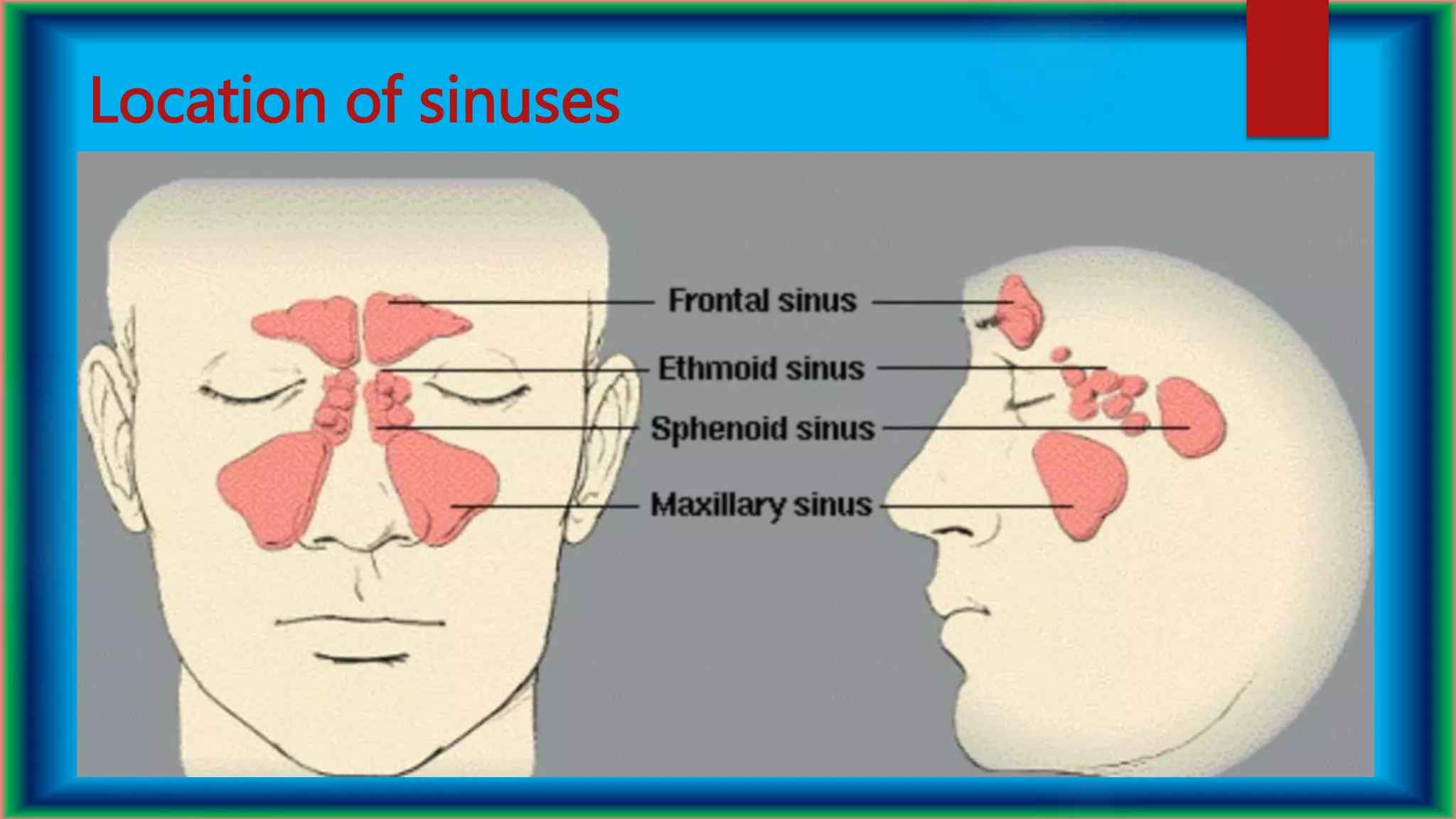 radiography of PNS.pptx