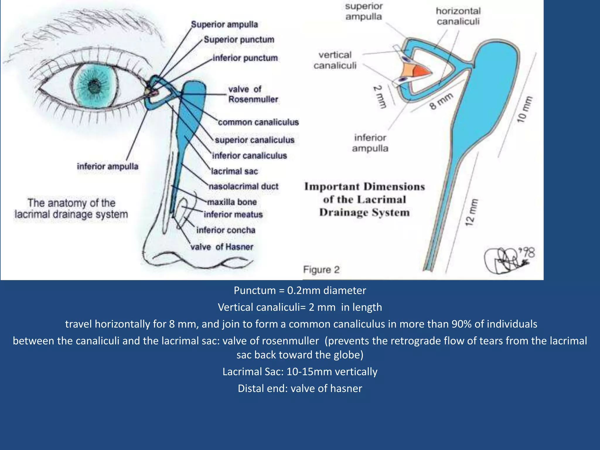 Radiography round on dacrocystography | PPTX