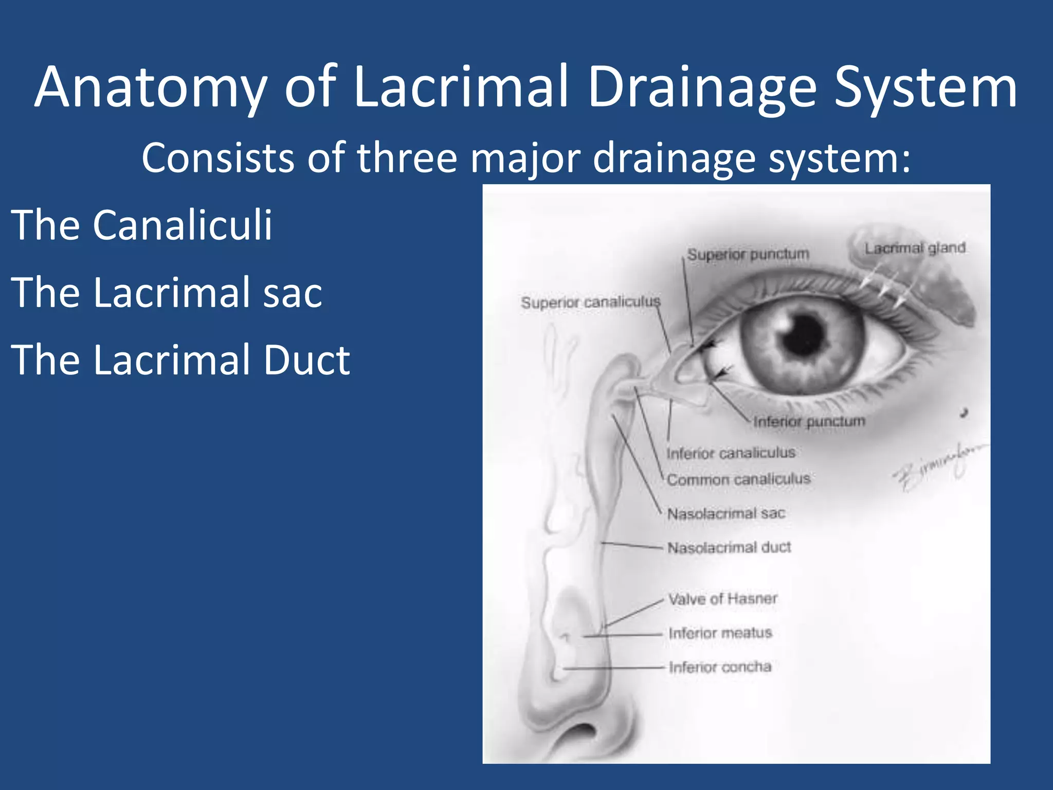 Radiography round on dacrocystography | PPTX