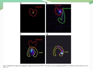 Radio Imaging Techniques | PPT