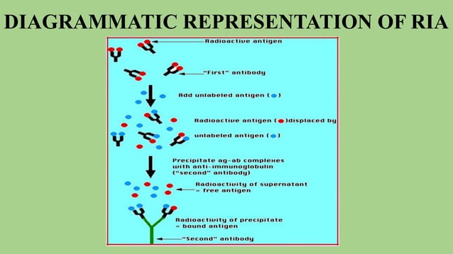 Radio immunoassay (RIA) | PPTX | Chemistry | Science