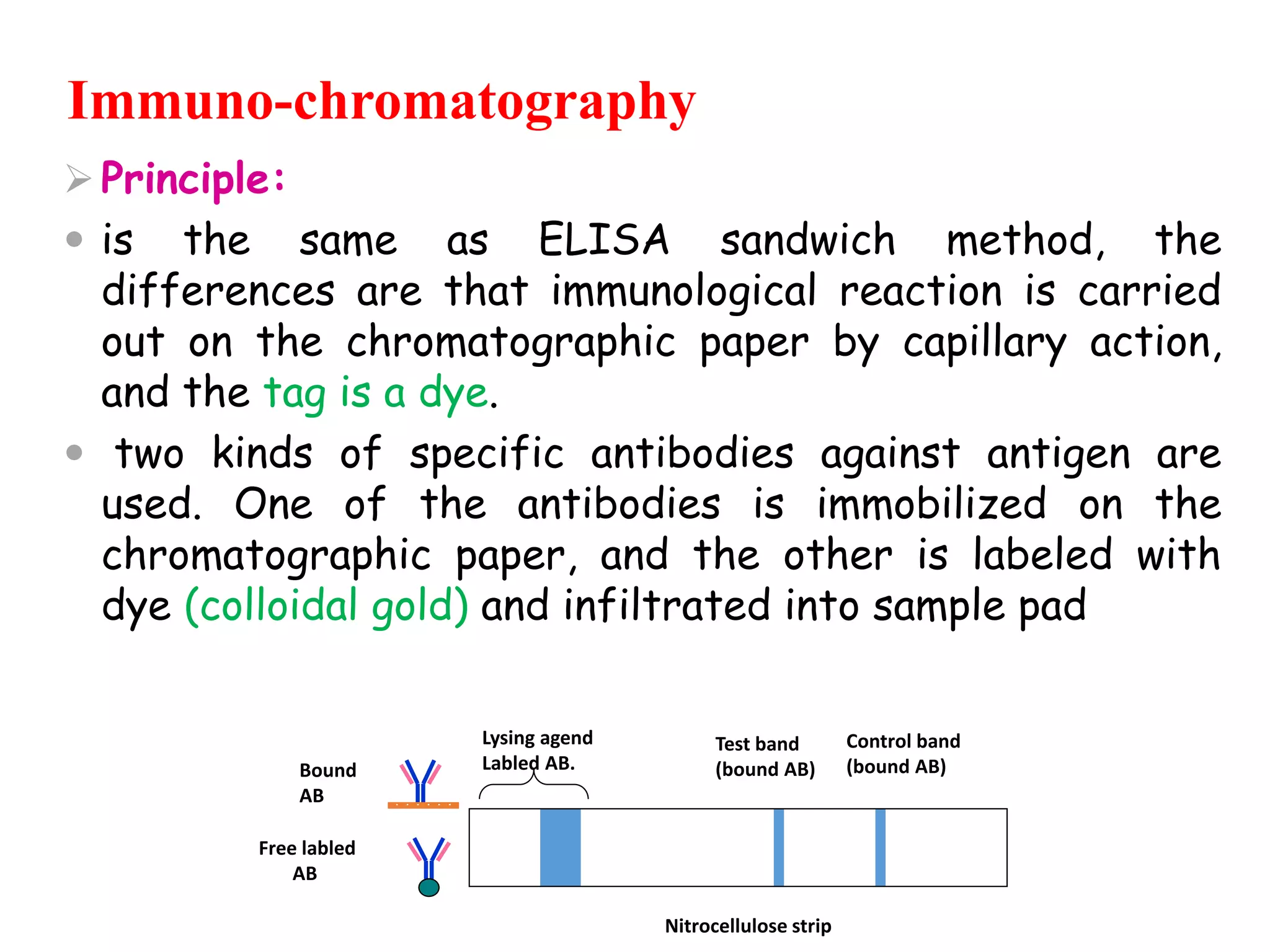 Radio Immuno Assay, Immuno Fluorescent Test, Lab 4.pptx