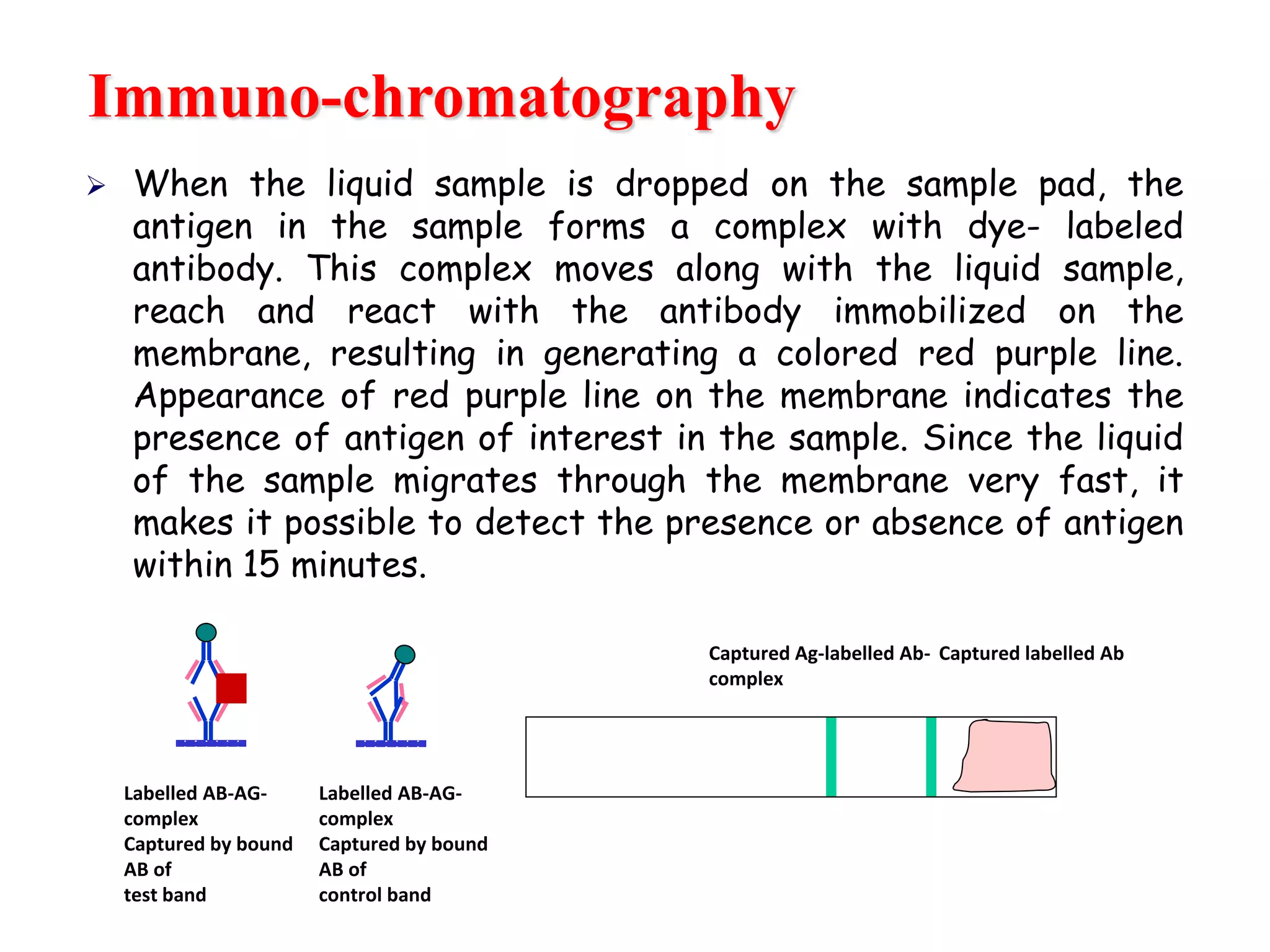 Radio Immuno Assay, Immuno Fluorescent Test, Lab 4.pptx