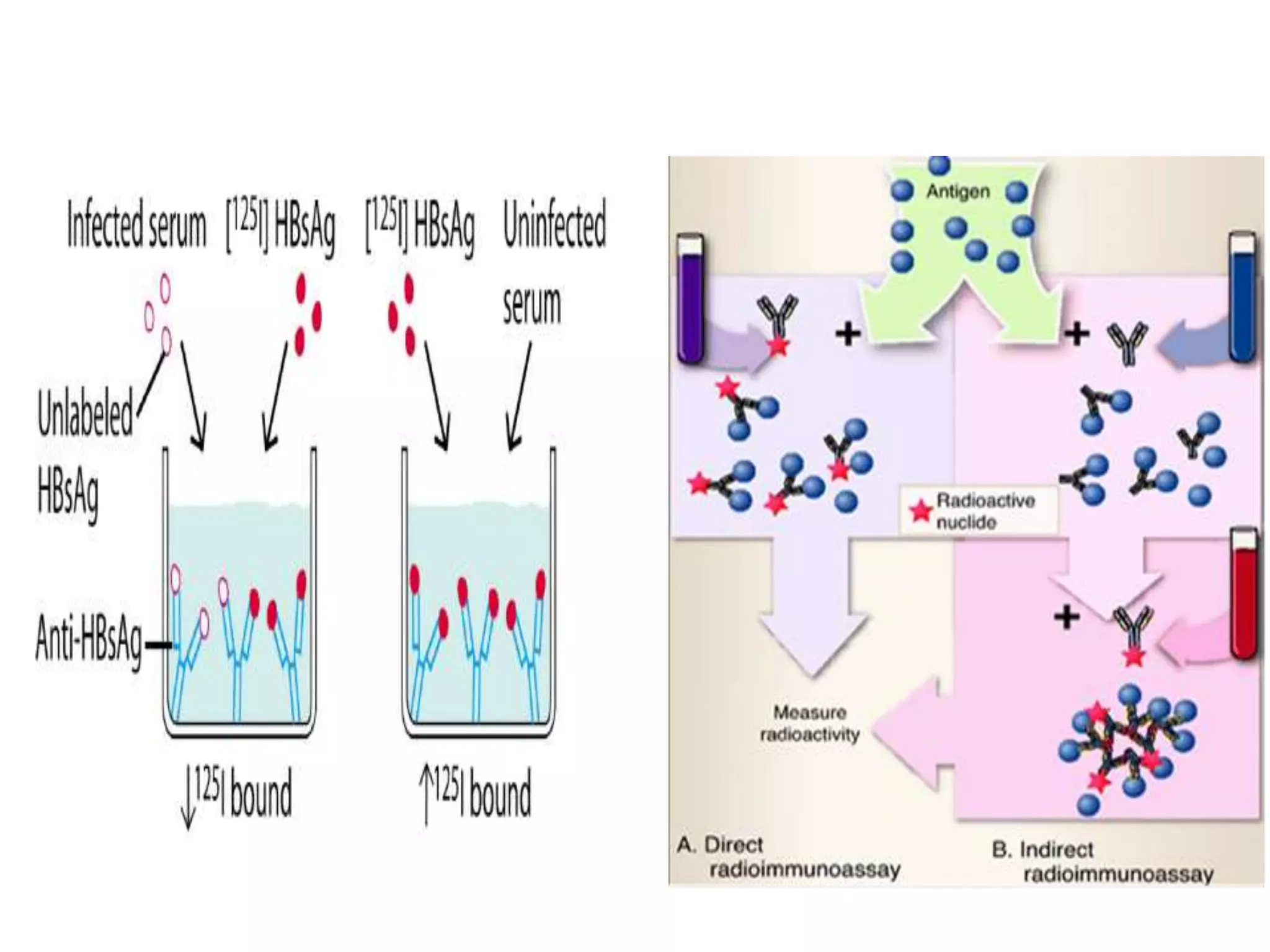 Radio Immuno Assay, Immuno Fluorescent Test, Lab 4.pptx