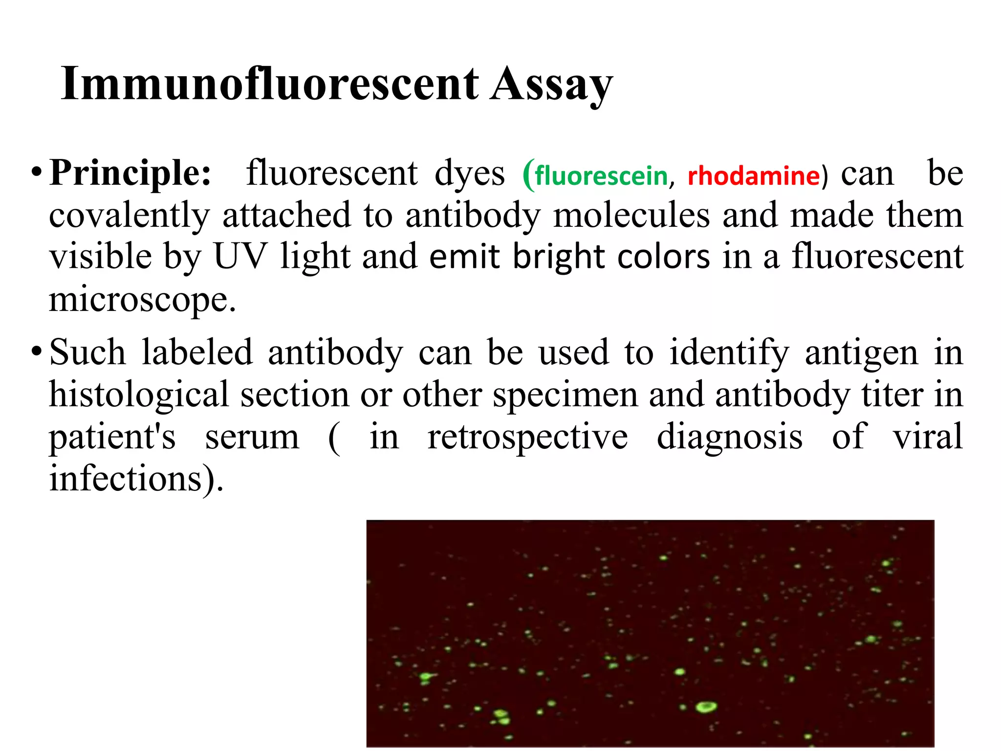 Radio Immuno Assay, Immuno Fluorescent Test, Lab 4.pptx