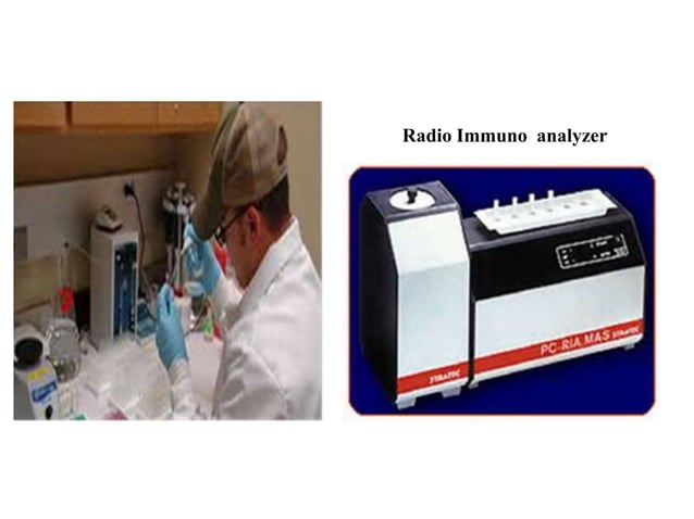 Radio Immuno Assay, Immuno Fluorescent Test, Lab 4.pptx