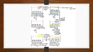 Radioimmunoassay (RIA) | PPTX