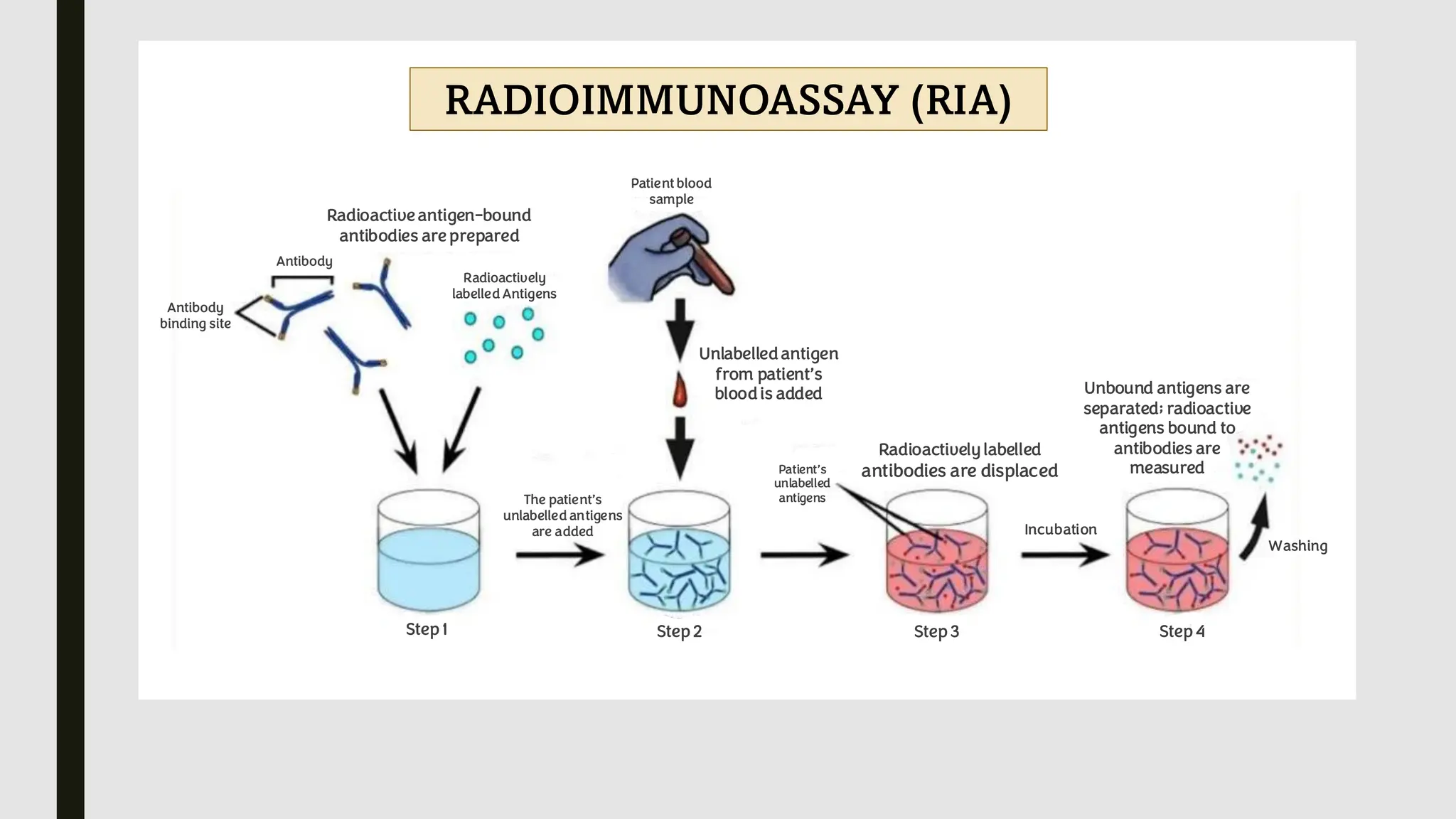 Radio immuno assay (RIA) technique and its procedure | PDF