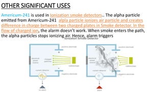 Radioisotope | PPTX