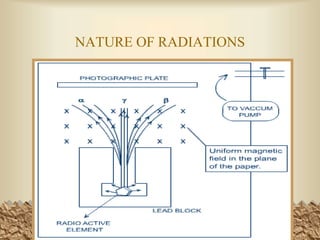 Radioisotopes and their biological effect | PPTX