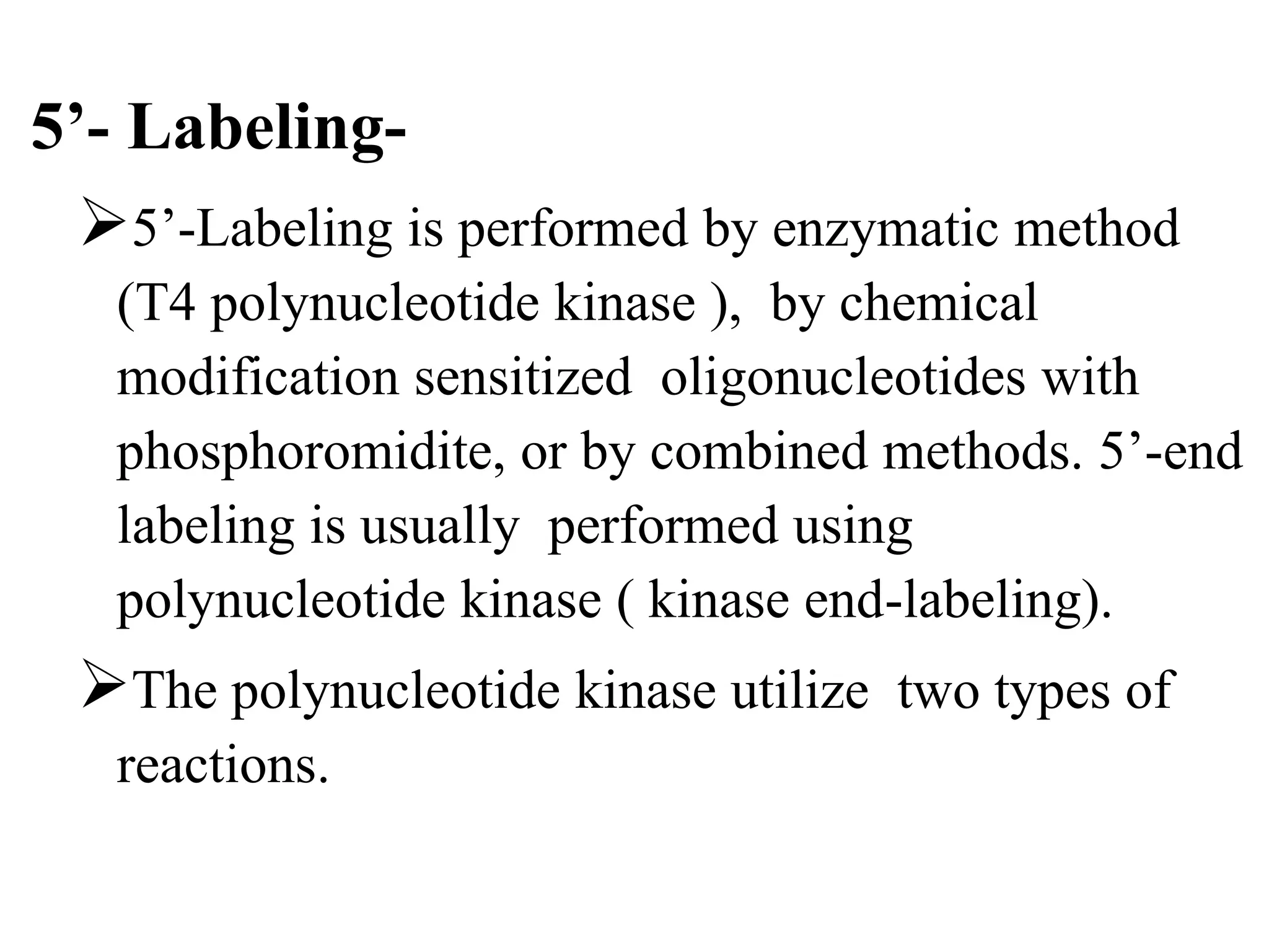 Radiolabeling technique | PPTX