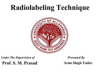 Radiolabeling technique | PPTX