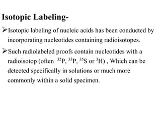Radiolabeling technique | PPTX