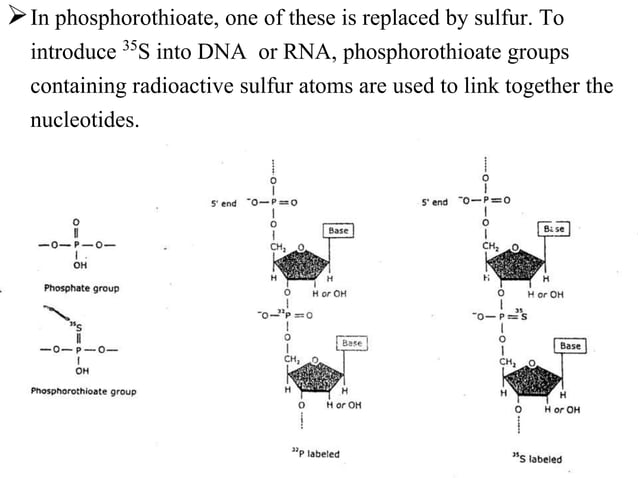 Radiolabeling technique | PPTX