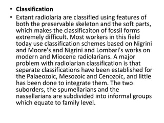 Morphotaxonmy, classification of Radiolaria | PPTX