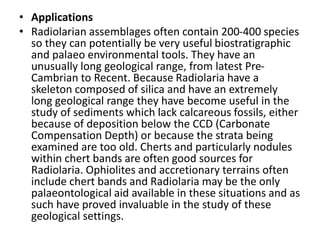 Morphotaxonmy, classification of Radiolaria | PPTX