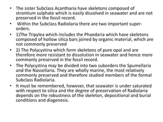 Morphotaxonmy, classification of Radiolaria | PPTX