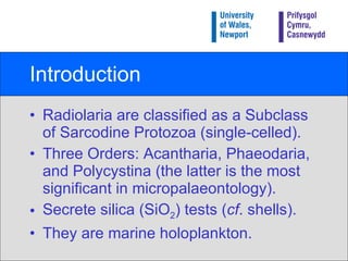 Radiolarian micropalaeontology: morphology and taxonomy | PPT