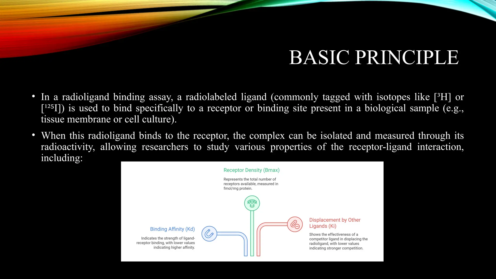 Radioligand assay system (RIA) Principles Of Drug Discovery.pptx