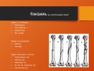 Radiología del miembro superior e inferior resumen práctico.pptx