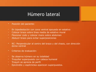 Radiología del miembro superior e inferior resumen práctico.pptx