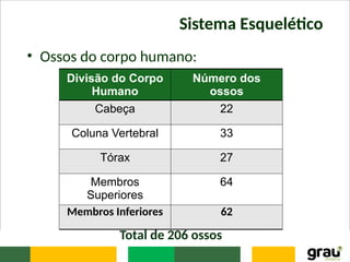 RADIOLOGIA - Anatomia e Fisiologia 1 Definição, Terminologia, Divisão ...