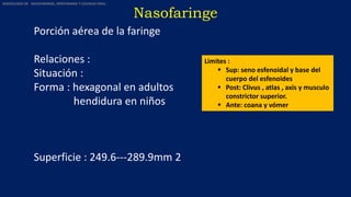 RADIOLOGIA DE NASOFARINGE^J OROFARINGE Y CAVIDAD ORAL.pptx